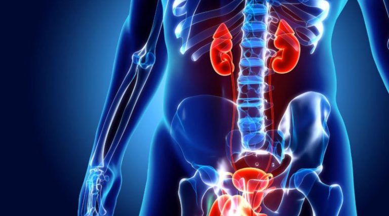 Consultations Urologie